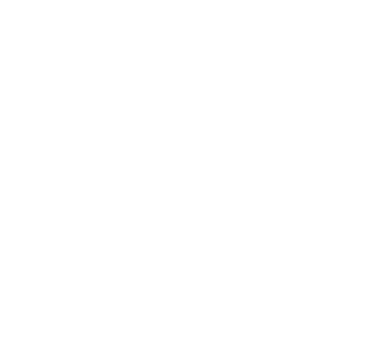 TechRev - Innovative Technology Services